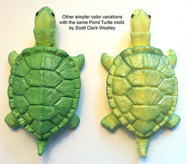 Pond Turtle Silicone Mold by Scott Clark Woolley | Etsy