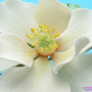 Southern Magnolia & Ranunculus Center Maker Silicone Molds (set of 3 ...