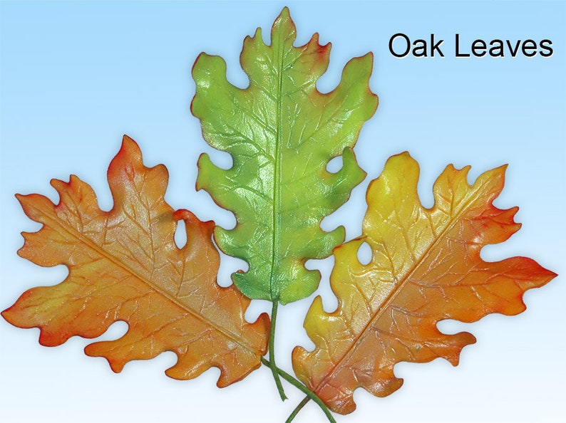 Oak Leaf Cutter - Etsy