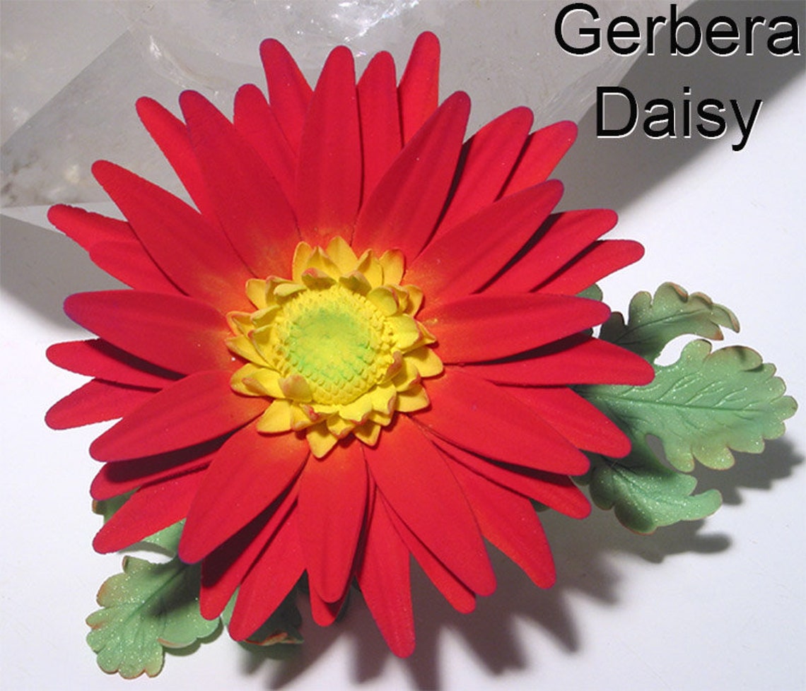 Gerber Daisy Cutter Set 12 Petal 4 Sizes - Etsy