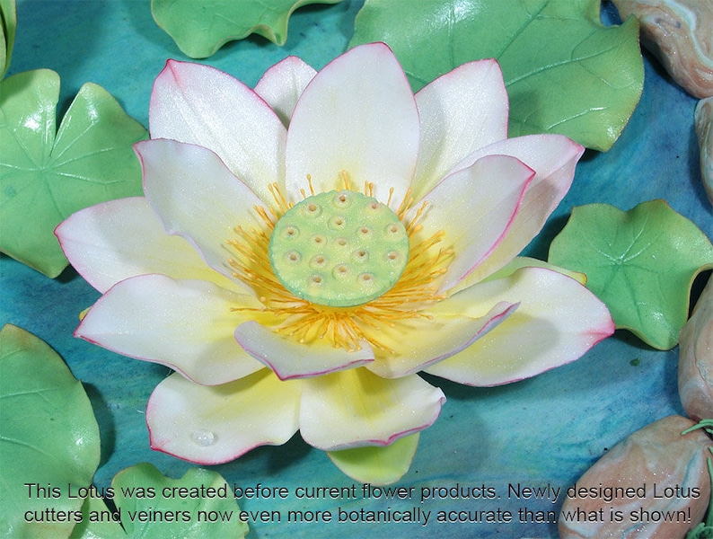 Lotus Pod Maker Silicone Mold (3 Stages) - Etsy