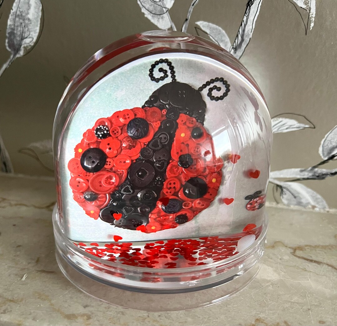 PRINTED Ladybird Art Snow Globe, Heart Confetti Theme Decor, Ladybird ...