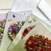 PRINTED (not 3D) Set of 4 Tree Art Cards, 14x14cm Tree Art Card Set ...