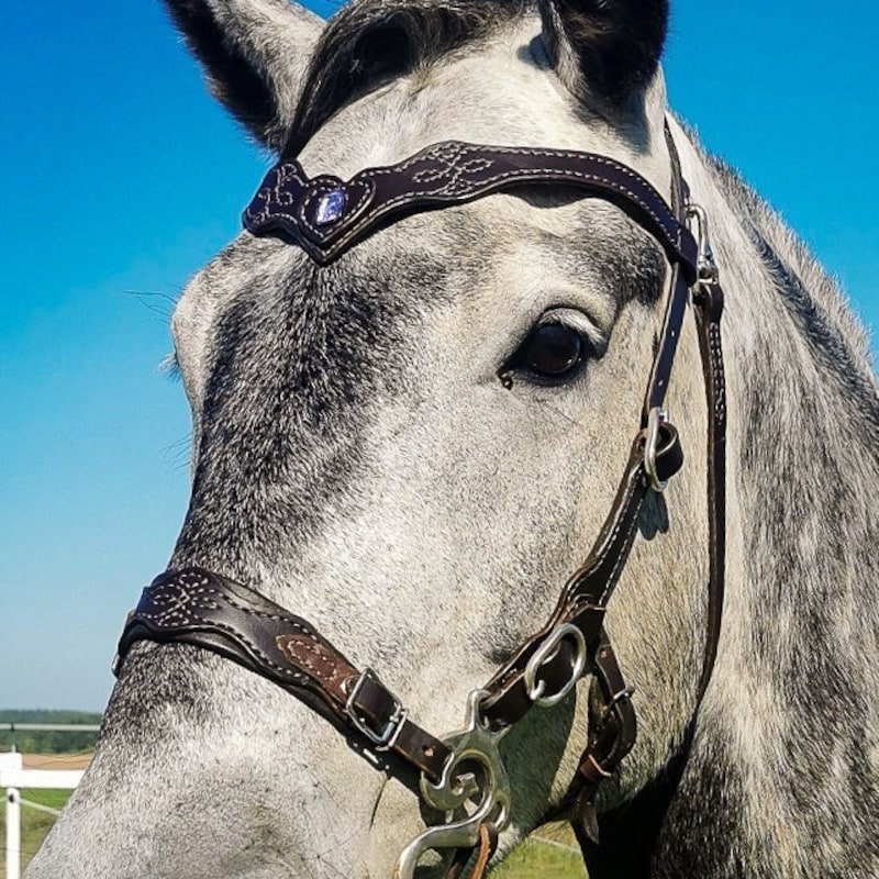 Baroque Bridle - Etsy