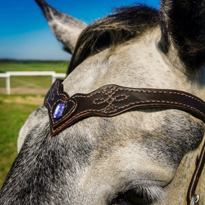 Baroque Hackamore Bridle, Handmade Bitless Tack, Tribal Style Pattern ...