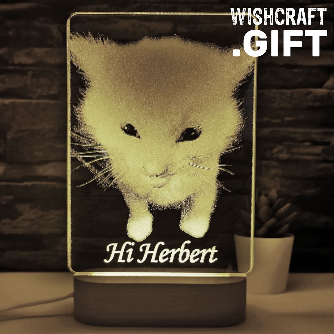 Cat Lovers Gift, HI Herbert Meme LED Lamp, Katze, Cat Birthday Gift ...