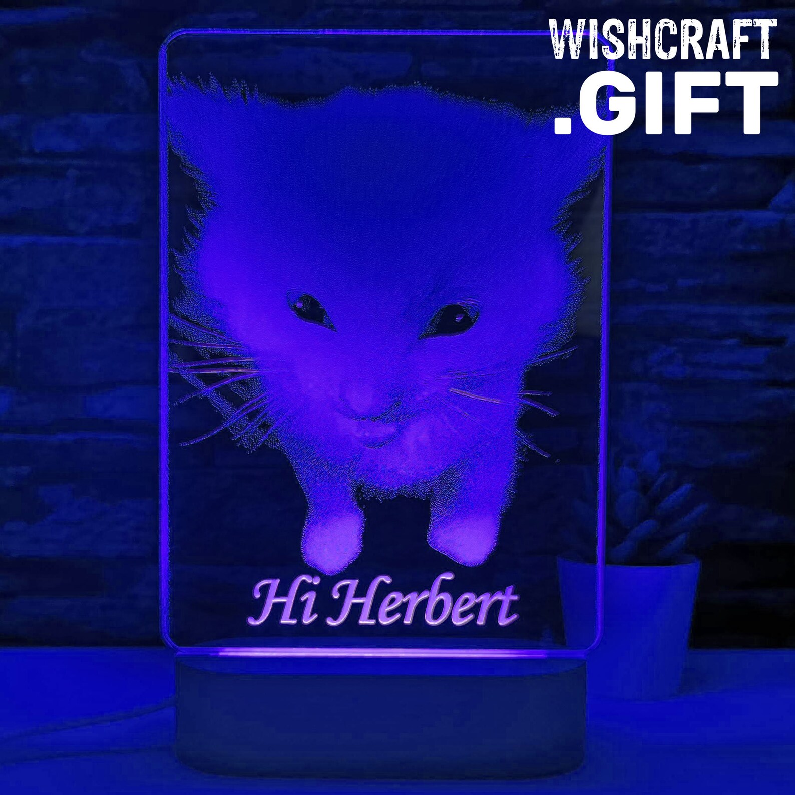 Custom Cat Photo LED Lamp: Personalized Pet Memorial Gift - Etsy