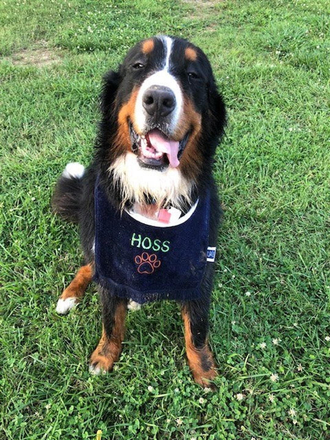 Custom Dog Bib - Etsy