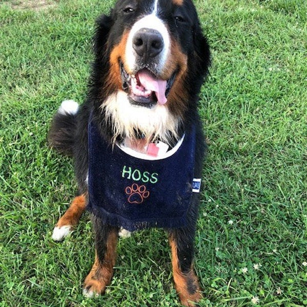 Dog Drool Bib - Etsy