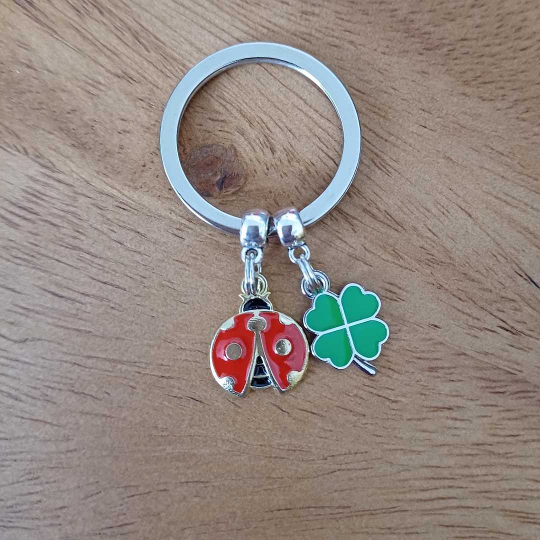 Clover and Ladybug Key Holder, Ladybird Keychain, Clover Key Keeper ...