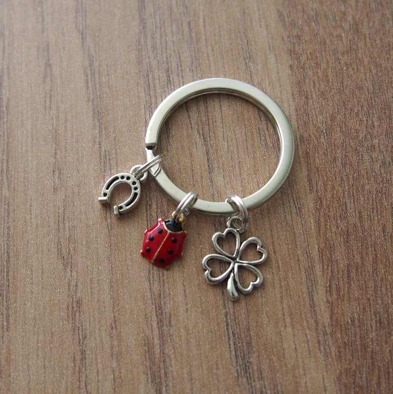 Good Luck Keychain Ladybird Keyring Nature Lovers Gift - Etsy