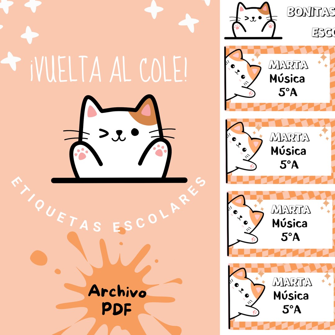 Adhesive School Labels, School Labels Template, Editable School Labels ...