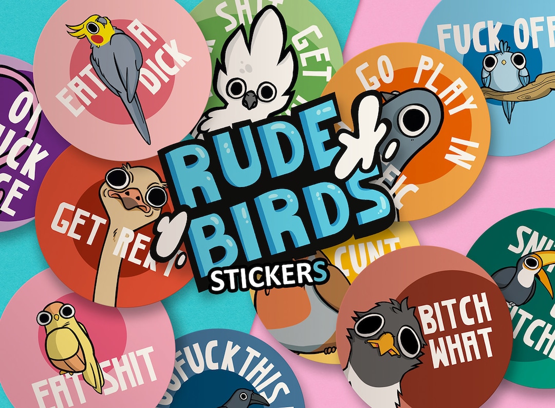 Rude Birds - Round Die Cut Vinyl Sticker 6x6cm - Etsy