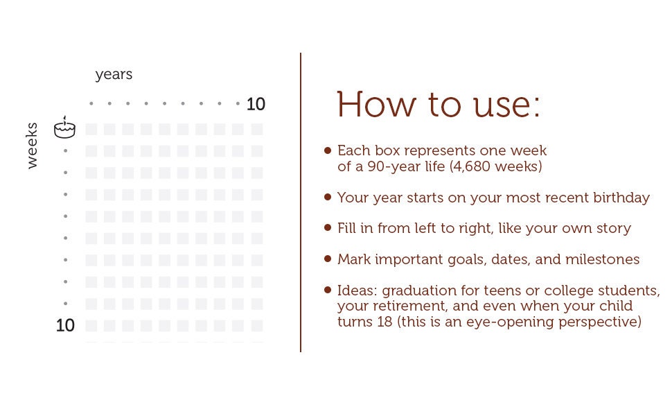 Life in Weeks® Poster 2-pack Large 18l X 24w Unframed Printed ...