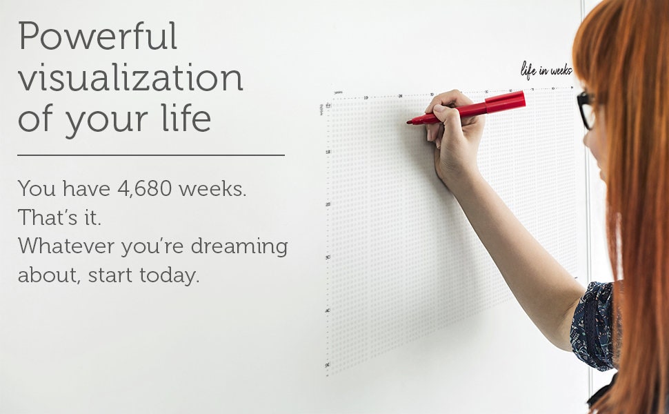 Life in Weeks® Poster 2-pack Large 18l X 24w Unframed Printed ...