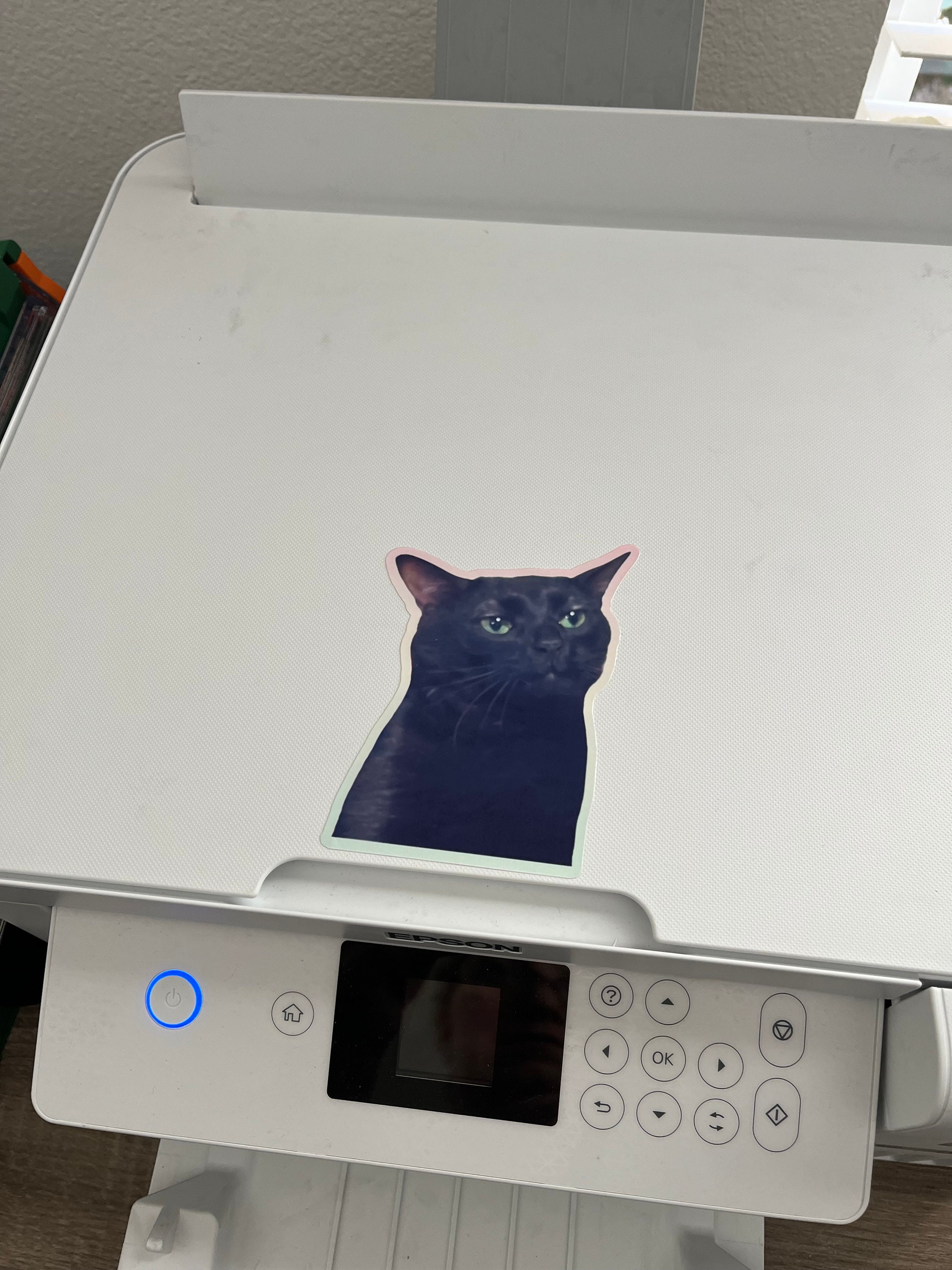 Zoning Out Cat Meme Vinyl Sticker, Zoned Out Cat Sticker, Staring Black ...