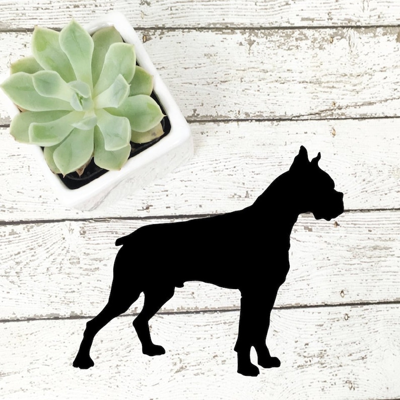 Boxer, Boxer Svg, Boxer Png, Boxer Dxf, Boxer Vector, Boxer Cut File ...