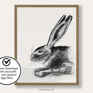 Rabbit Drawing Printable Bunny Art Vintage Rabbit Painting Antique ...