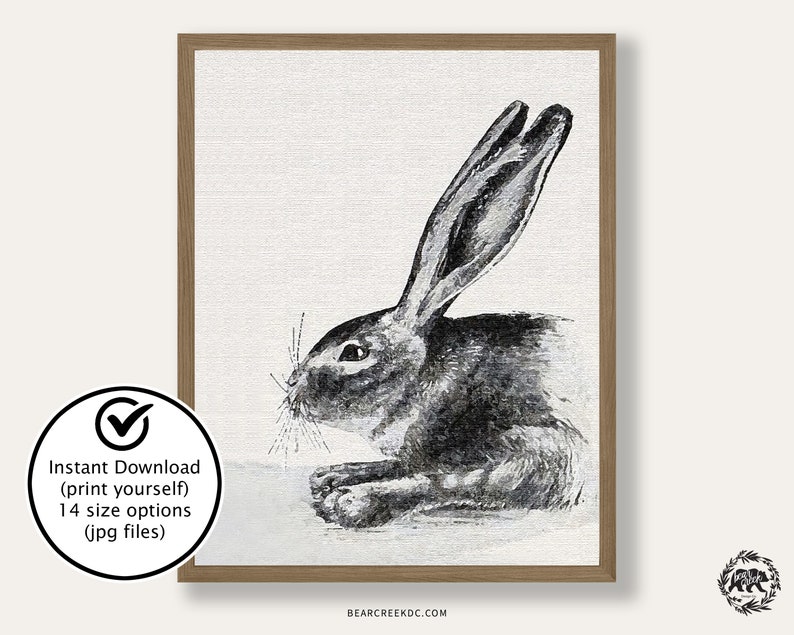 Rabbit Drawing Printable Bunny Art Vintage Rabbit Painting - Etsy