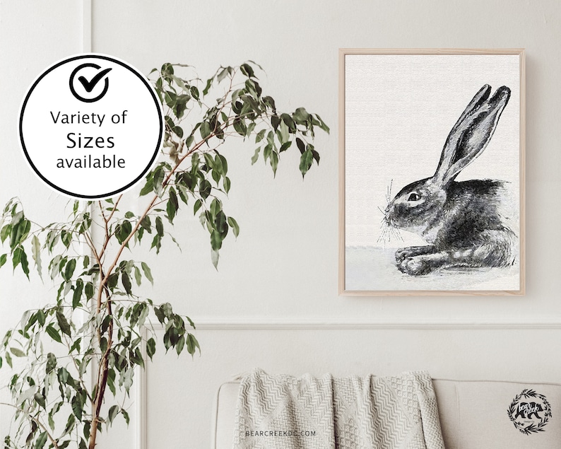 Rabbit Drawing Printable Bunny Art Vintage Rabbit Painting - Etsy