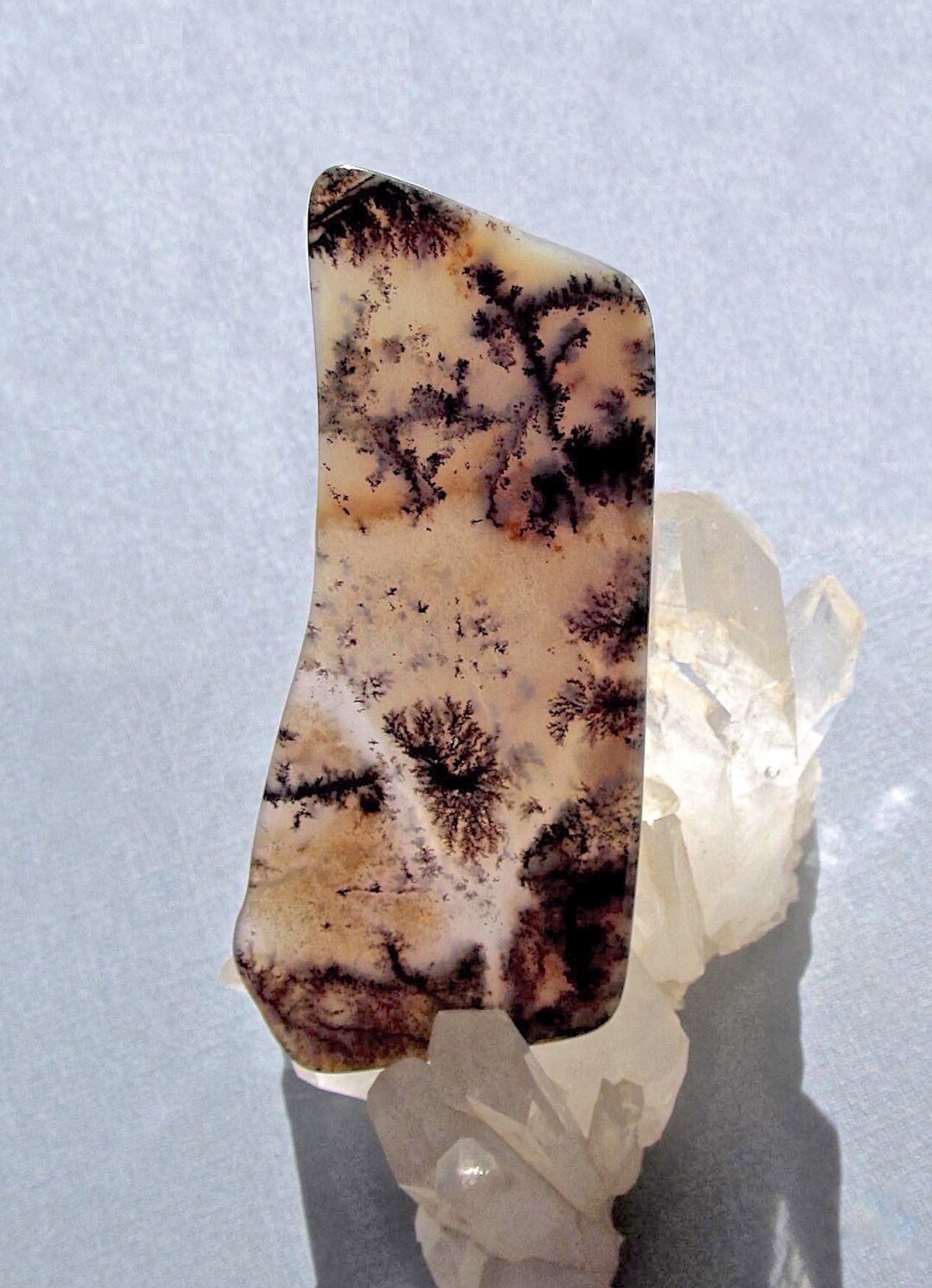 Vintage Snake River Dendritic Agate Cabochon, Display, Lapidary Piece ...