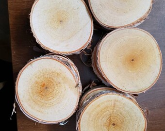 Birch Tree Slices - Etsy