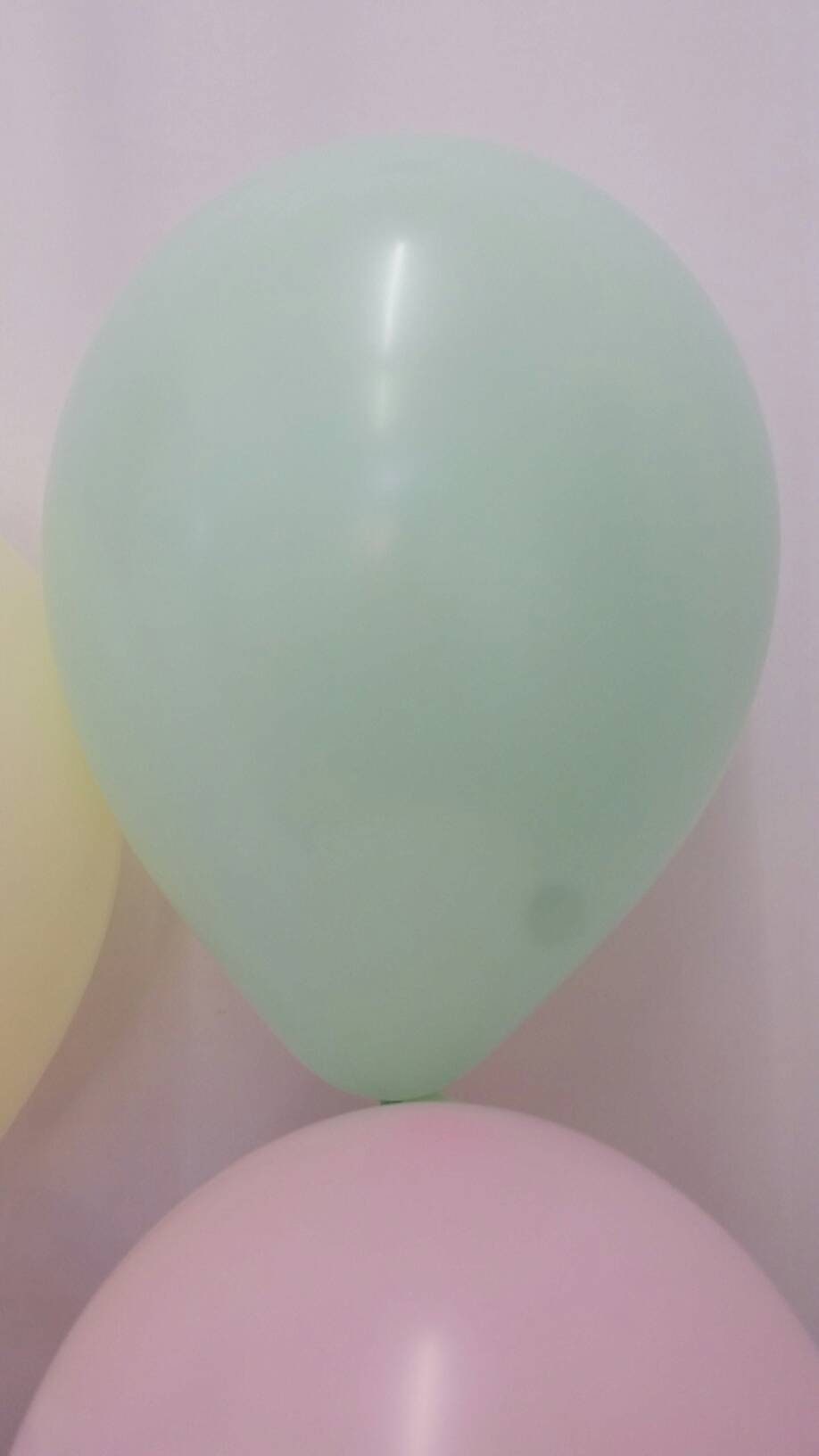 Matte Finish Pastel Balloons Pastel Balloons Matte Finish - Etsy