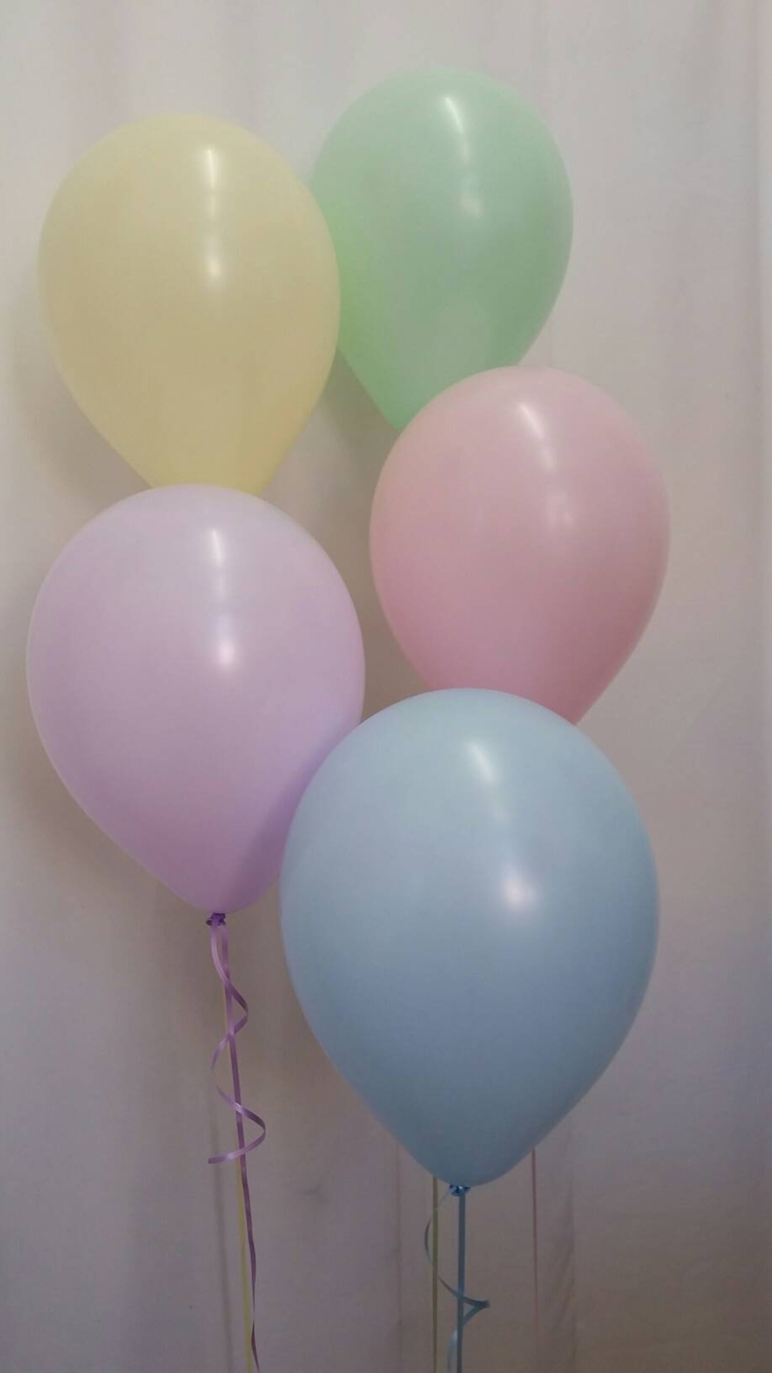 Matte Finish Pastel Balloons Pastel Balloons Matte Finish - Etsy