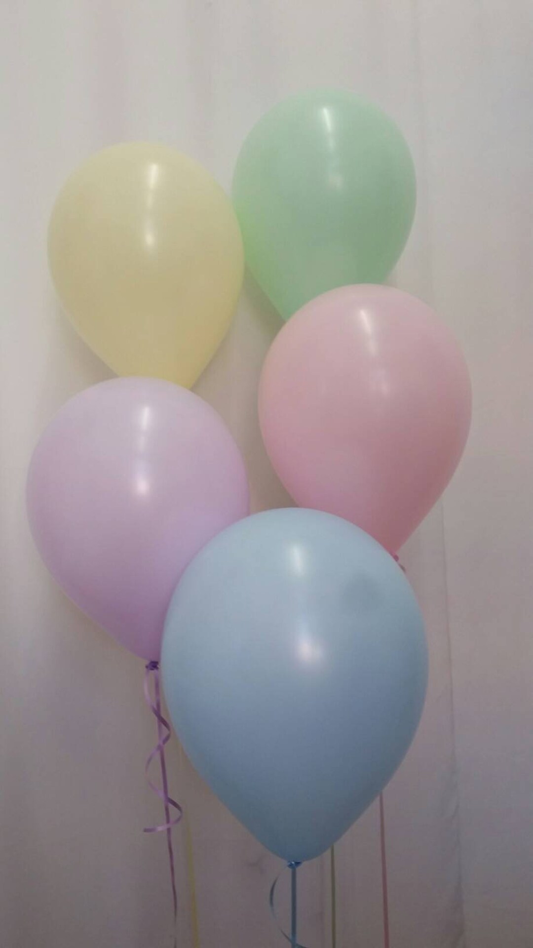 Matte Finish Pastel Balloons, Pastel Balloons, Matte Finish, Pink, Blue ...