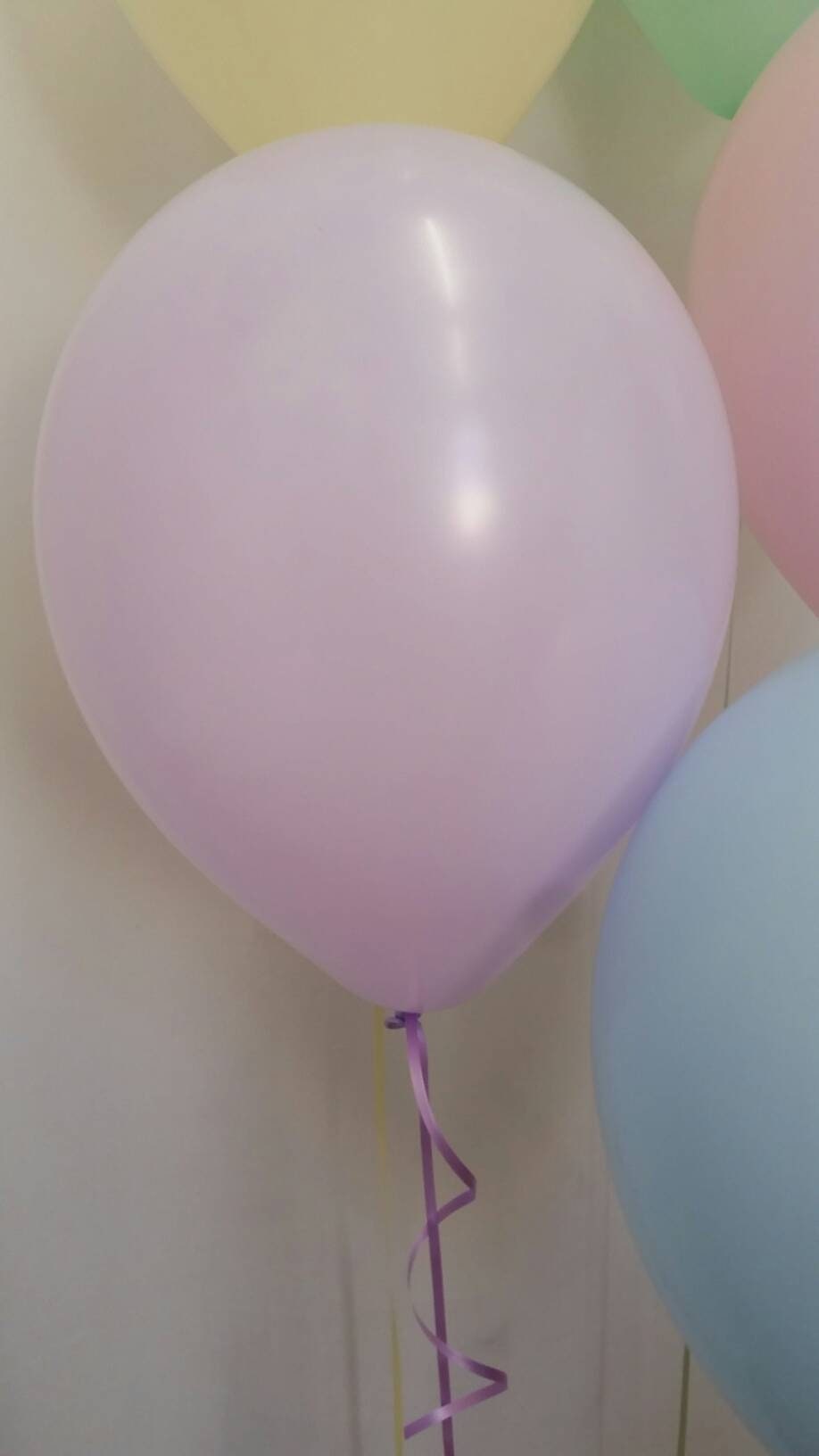 Matte Finish Pastel Balloons Pastel Balloons Matte Finish - Etsy