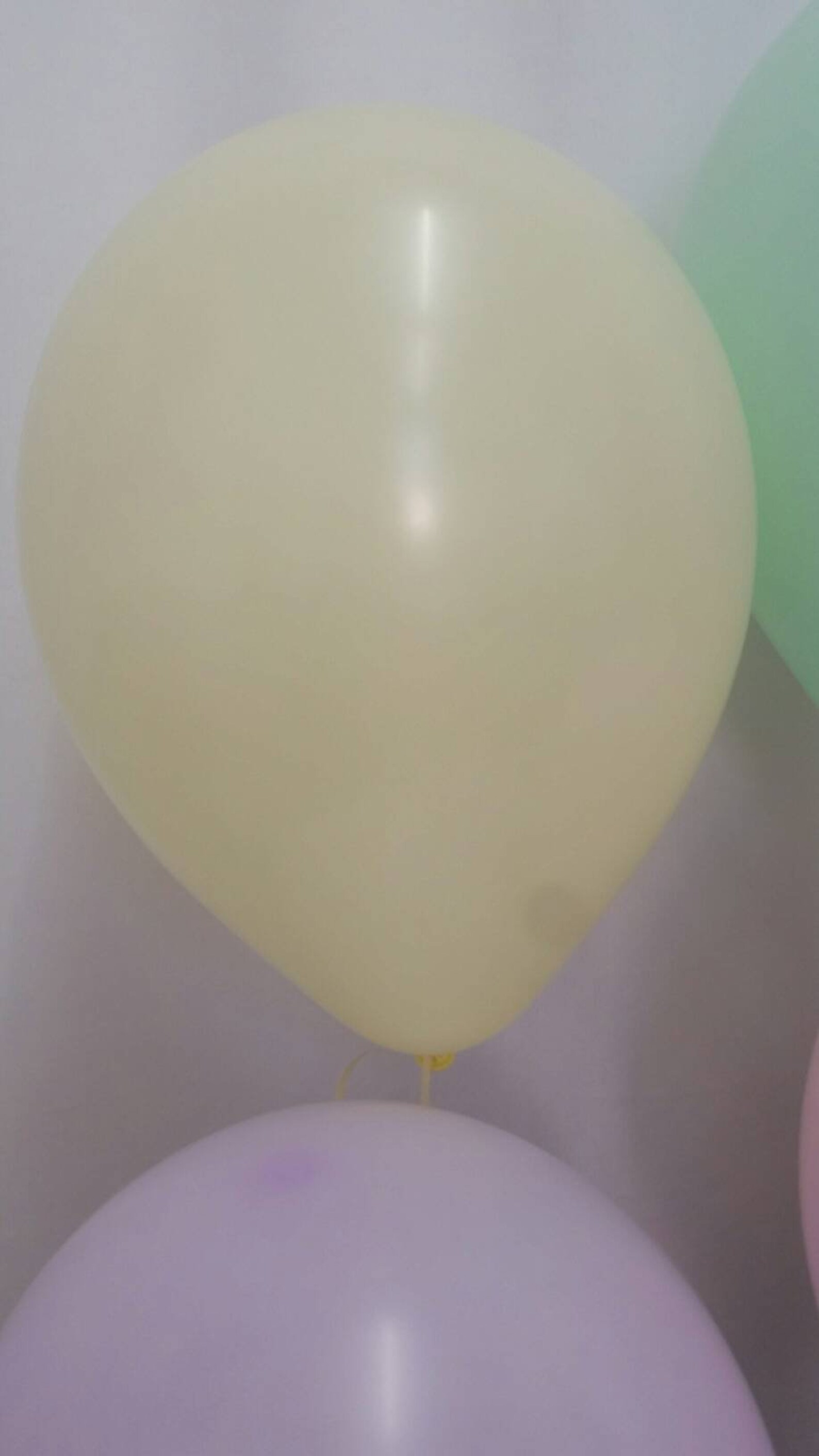 Matte Finish Pastel Balloons Pastel Balloons Matte Finish - Etsy