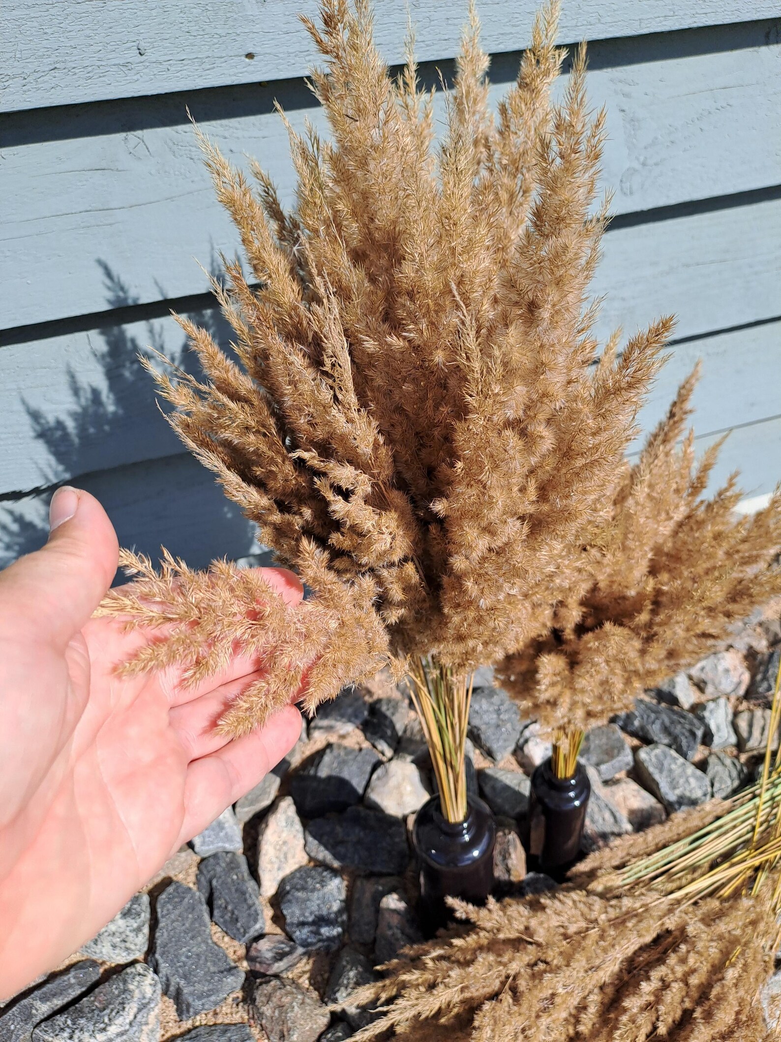 Dried Pampas Grass 24pcs Bouquet, Home Decor Dried Flowers Table ...