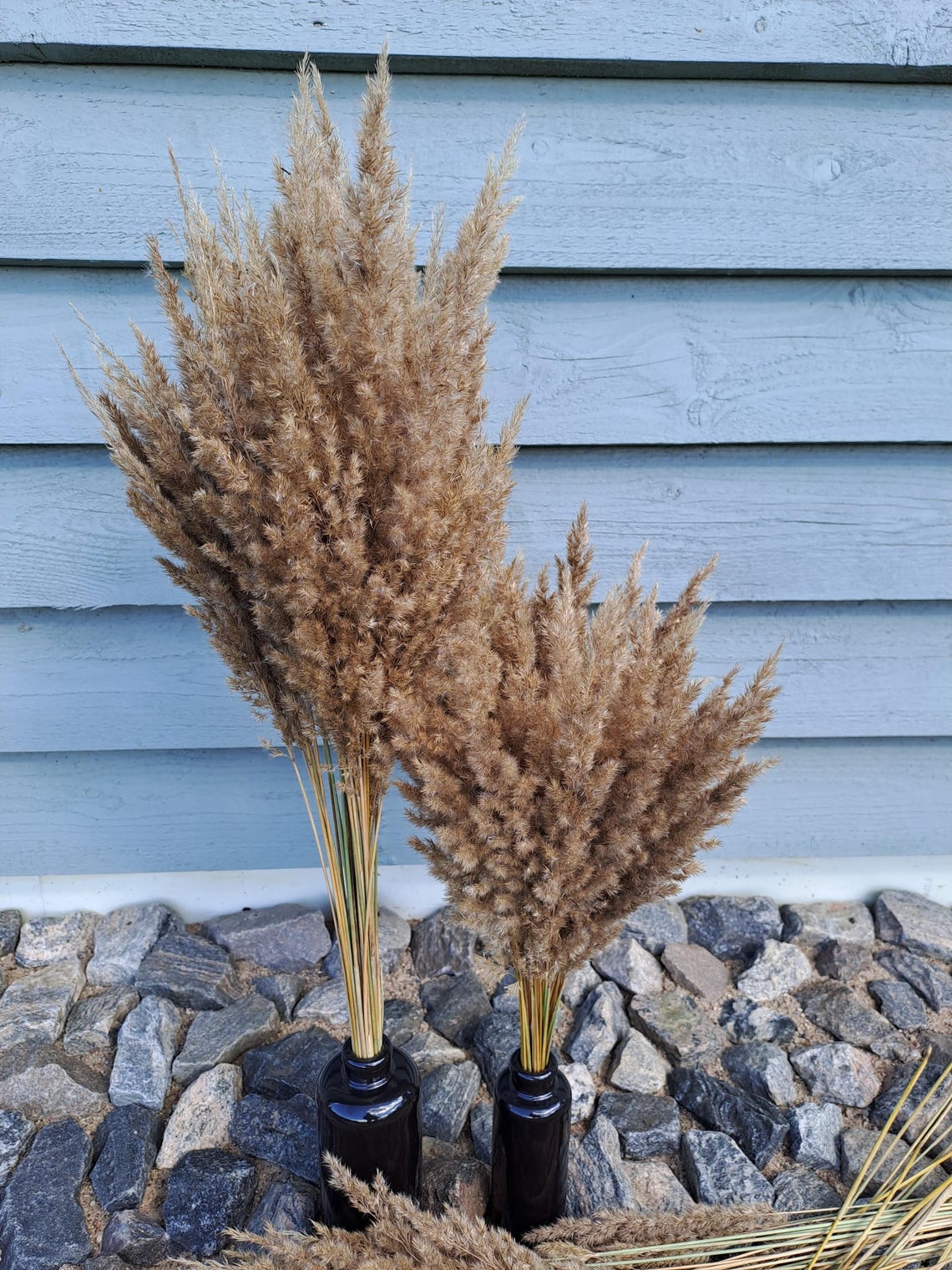 Dried Pampas Grass 24pcs Bouquet, Home Decor Dried Flowers Table ...