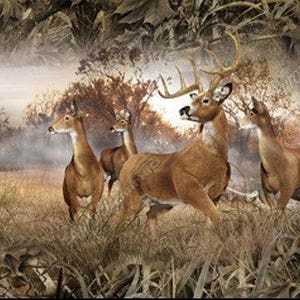 Whitetail Buck Deer Hunting Mural Tallgrass Camouflage Tailgate Wrap ...