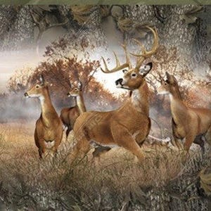 Whitetail Buck Deer Hunting Mural Forest Camouflage Tailgate Wrap Vinyl ...
