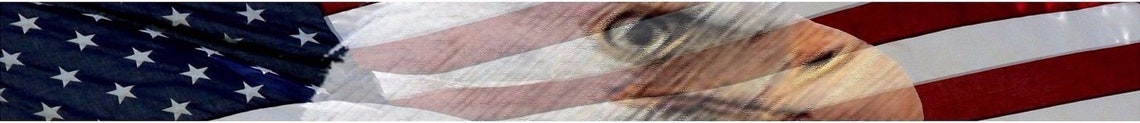 American Flag Eagle Bug Shield Vinyl Graphic Decal Wrap - Etsy
