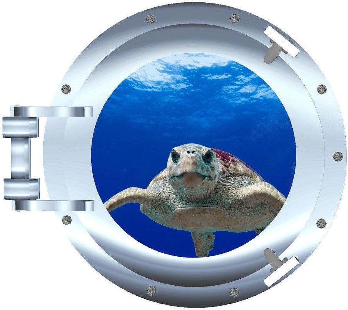 Sea Turtle Porthole Camper RV Motor Home Mural Vinyl Graphic Decal ...