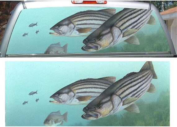 Bass Fish Fishing Aquascape Underwater Scenery Rear Window - Etsy