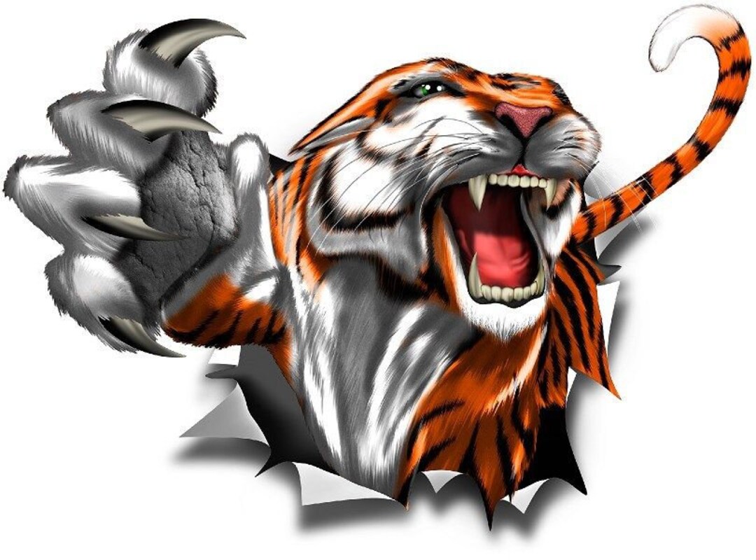 Tiger Scratch Ripped Cornhole Board Game Vinyl Graphic Decal Set - Etsy