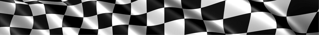 Checkered Racing Flag Bug Shield Vinyl Graphic Decal Wrap - Etsy