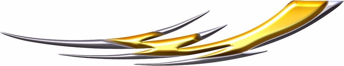 Racing Stripes B1224 Motorcycle Dirt Bike Go Kart Race Car Golf Cart ...