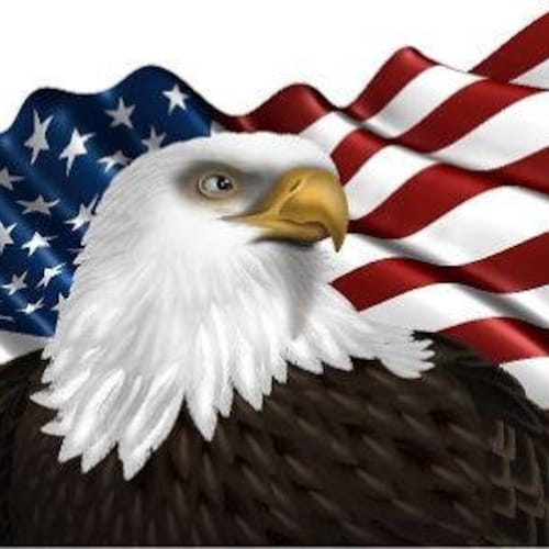 Crying Eagle American Flag Decal Sticker - Etsy