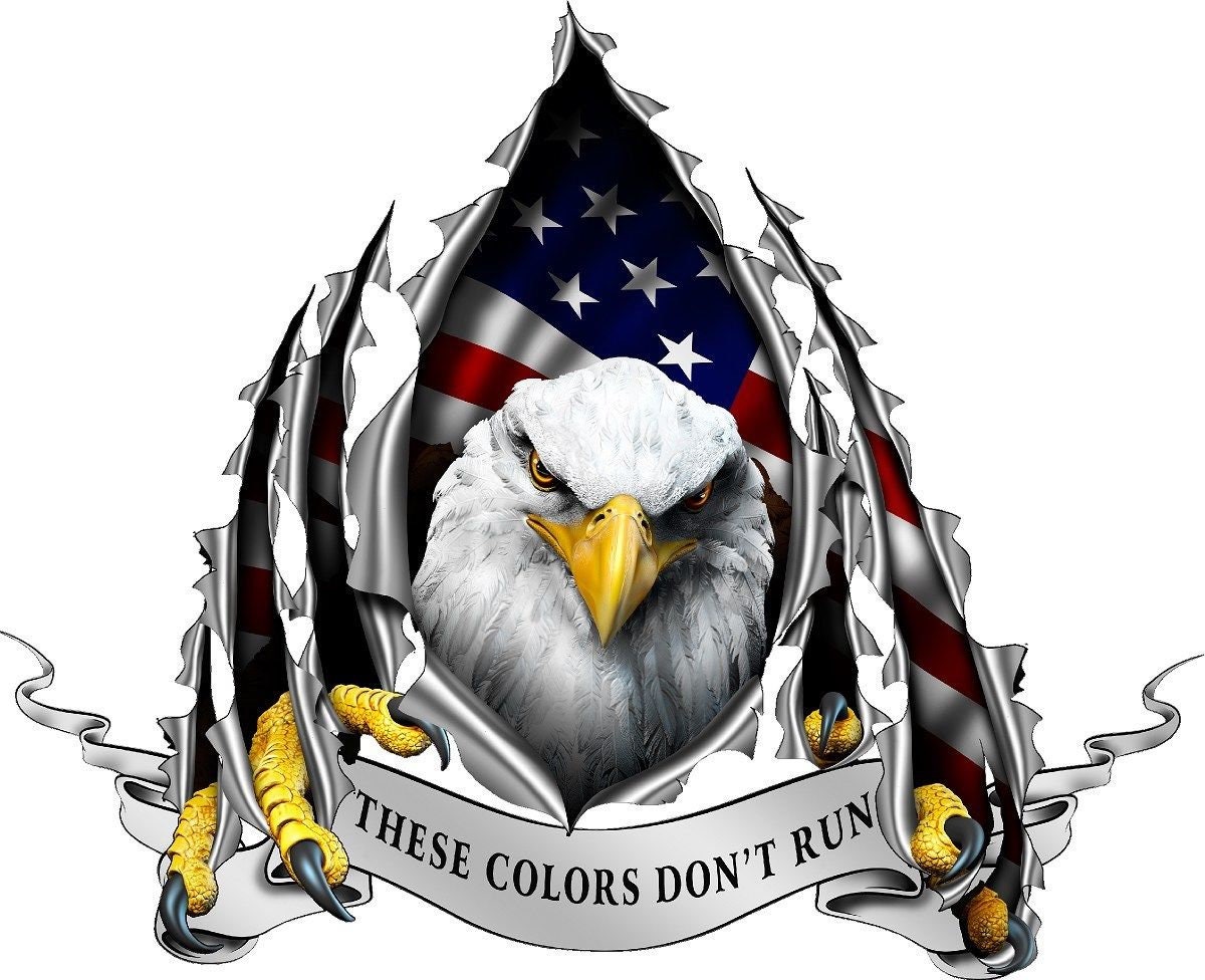 American Flag Eagle Rip These Colors Don't Run Decal Camper RV Motor ...