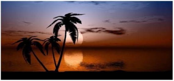 Tropical Sunset Ocean Palm Trees Beach RV Motor Home Mural | Etsy