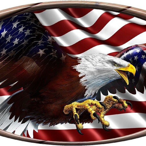 American Flag Eagle Rip Decal Camper RV Motor Home Mural - Etsy