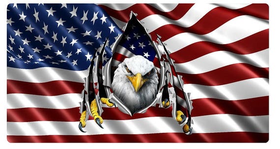 Eagle American Flag Tear