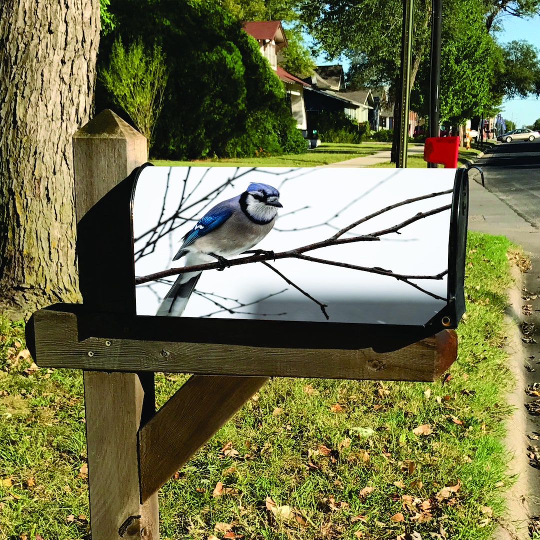 Blue Jay Mailbox Wrap, Mailbox Cover - Etsy