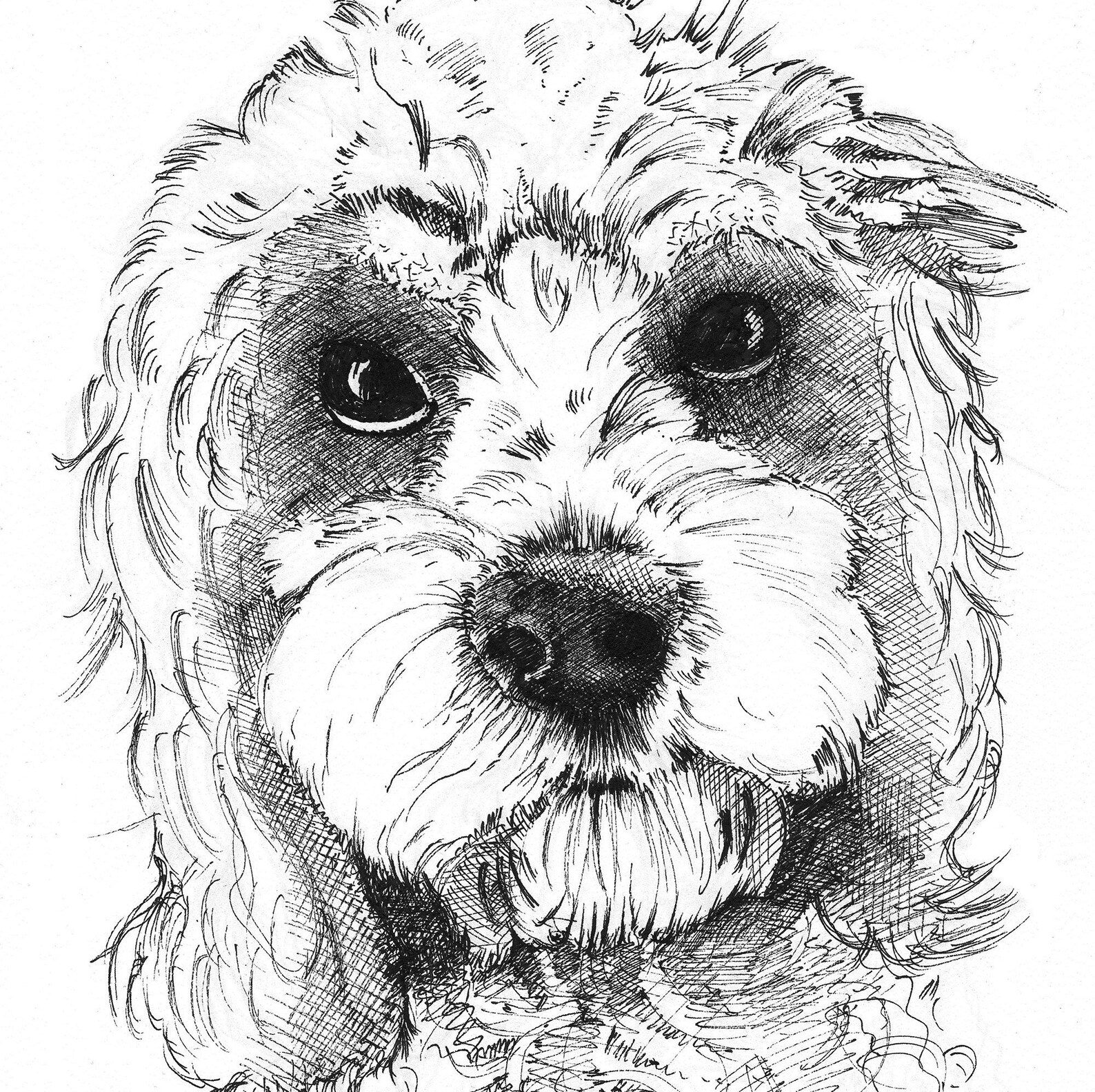 cavachon-birthday-card-dog-dad-card-dog-mum-card-cockapoo-etsy-uk