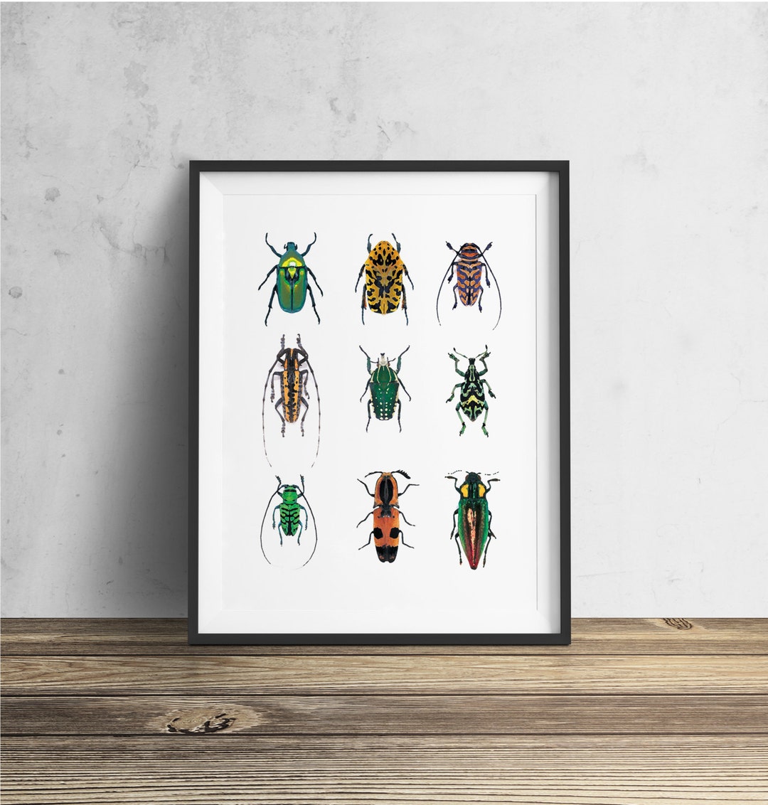 Beatles INSTANT DOWNLOAD Bug, Insects, Nature Print, Downloadable ...