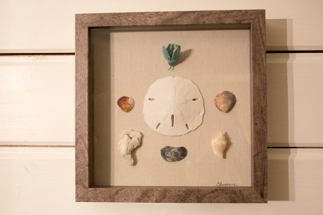 Coastal Picture With Sand Dollar and Ocean Treasures - Etsy